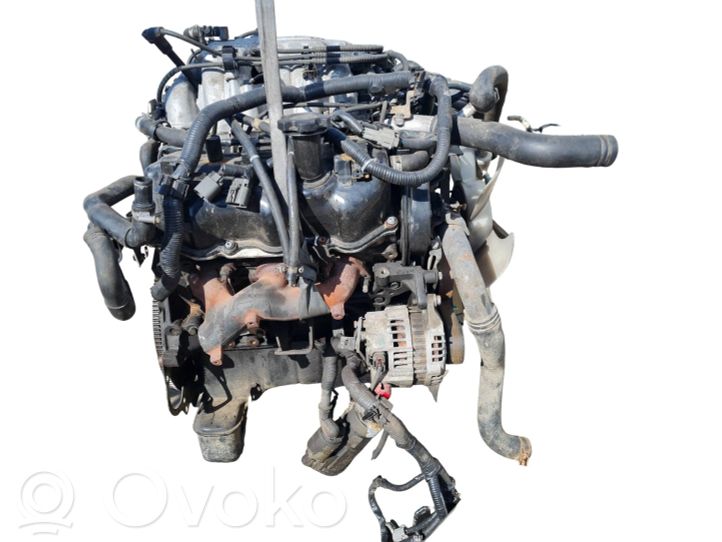 VG33E Nissan Pathfinder R50 Engine, 1500.00 € | RRR