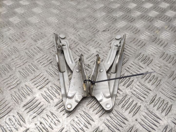 9067500021 Mercedes-Benz Sprinter W906 Engine bonnet/hood hinges, 20.00 ...