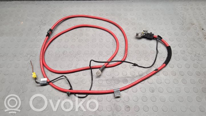 6906911 BMW X5 E53 Positive cable (battery), 65.00 € | RRR