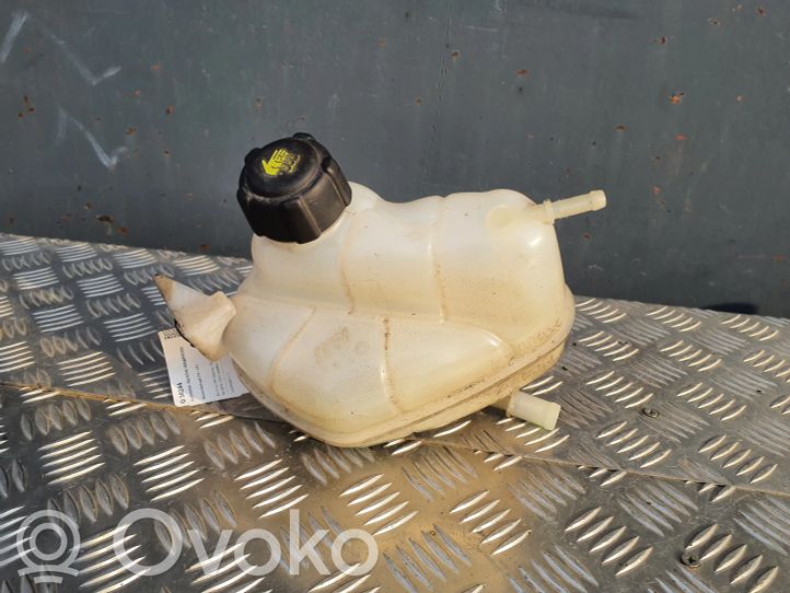 Nissan Qashqai Coolant expansion tank/reservoir, 11.00 € | RRR