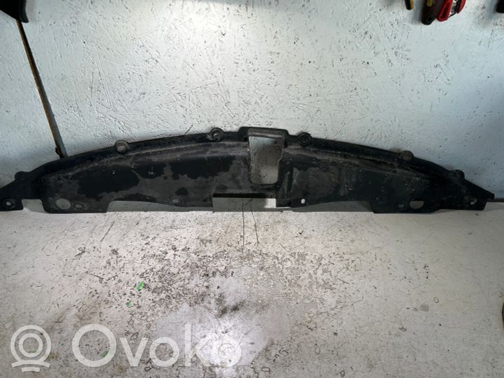 625804RA0A Nissan Maxima A35 Radiator trim, 40.00 € | RRR