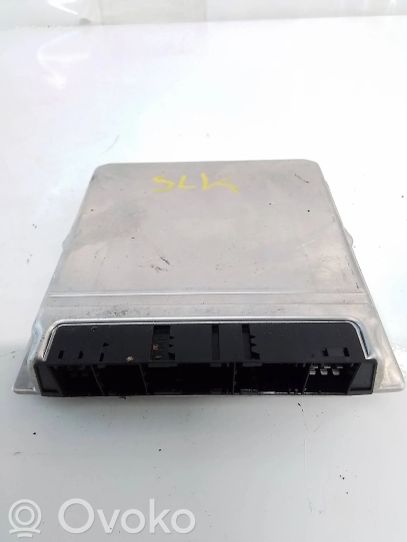 A1111533779 Mercedes-Benz SLK R170 Calculateur moteur ECU, 82.12 € | OVOKO