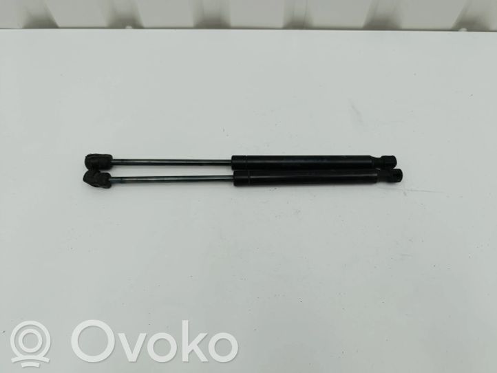 55113777AA Chrysler 300C Front bonnet/hood damper/strut, 10.00 € | RRR