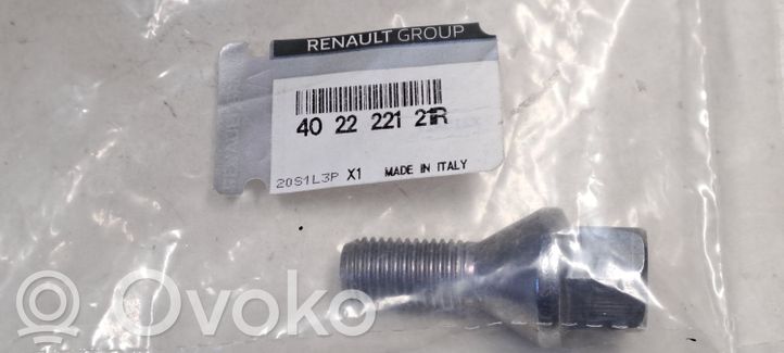 402222121R Renault Megane III Écrous et boulons, 10.00 € | OVOKO