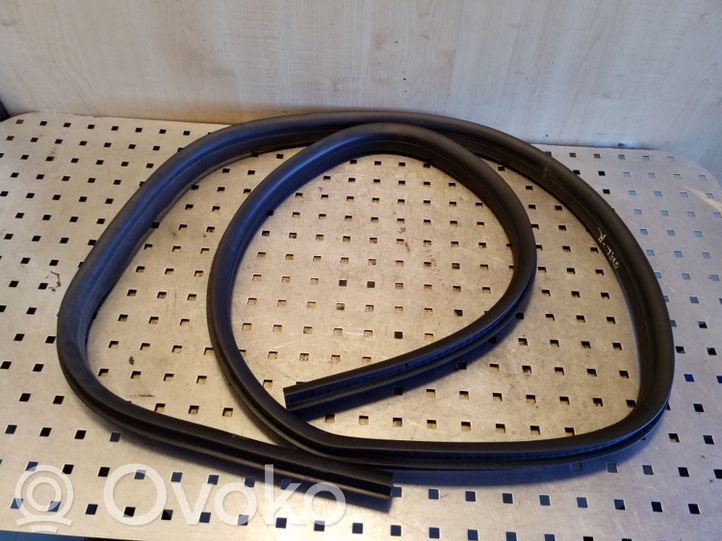 Ford Focus Rear door rubber seal (on body), 10.00 € | RRR