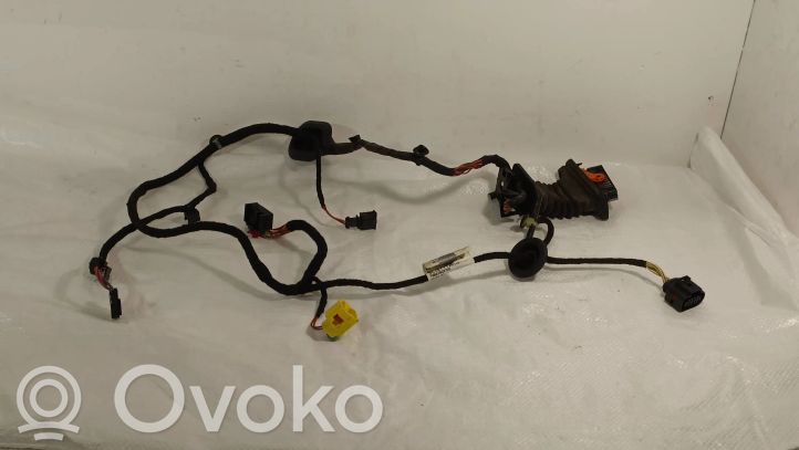 3C1971120CS Volkswagen PASSAT B6 Front door wiring loom, 25.00 € | RRR