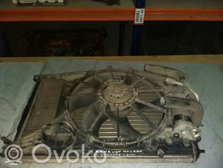 7701070217 Renault Megane II Electric radiator cooling fan, 181.50 € | RRR