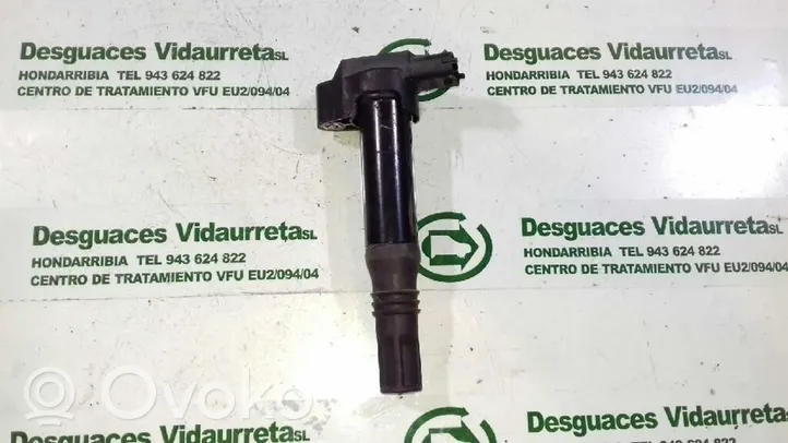 9671214580 Citroen C3 Pluriel Bobine d'allumage haute tension, 40.80 ...