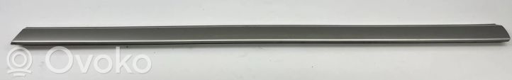 A6396901262 Mercedes-Benz Vito Viano W639 Sliding door trim (molding ...