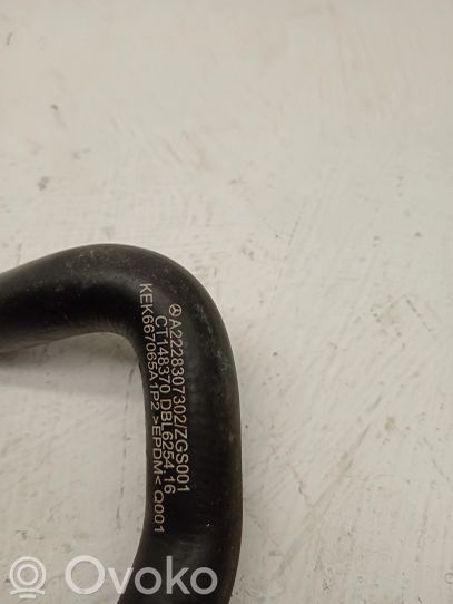 A2228307302 Mercedes-Benz S C217 Engine coolant pipe/hose, 15.00 € | RRR