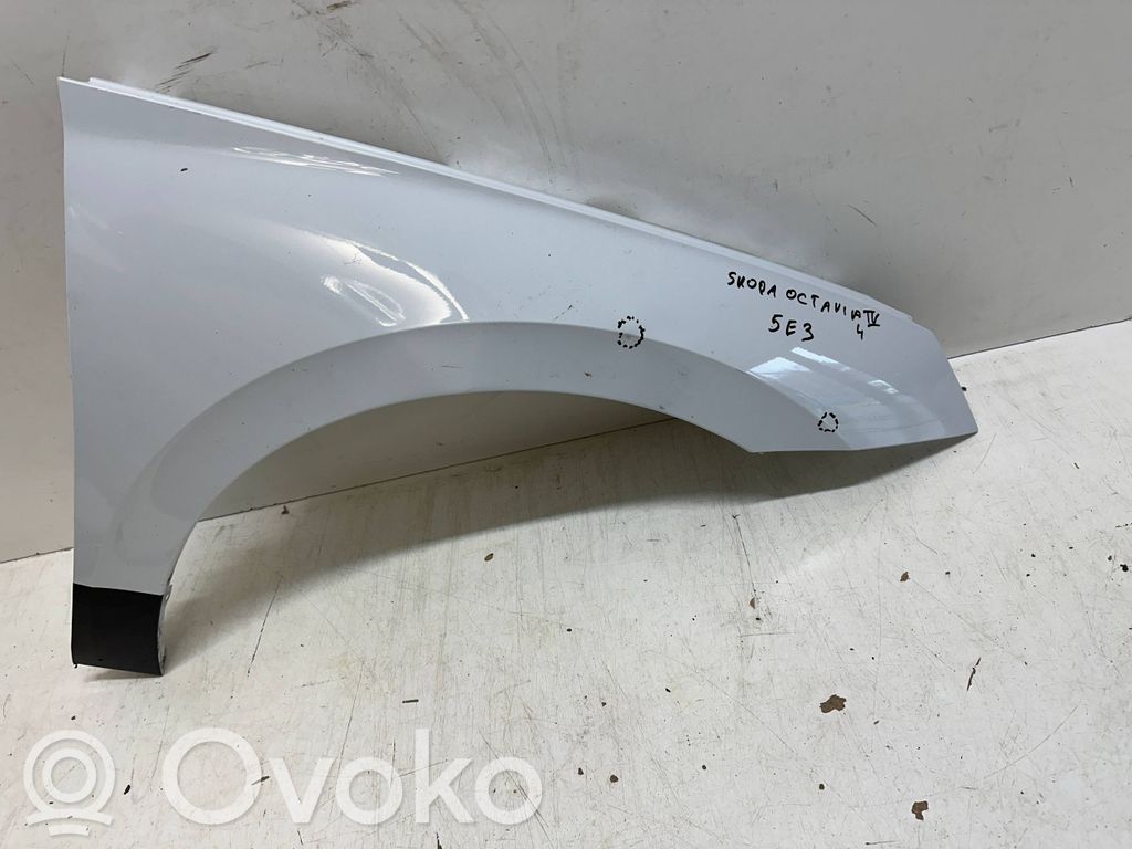 Blotnik5E3 Skoda Octavia Mk4 Fender, €94.12 | RRR