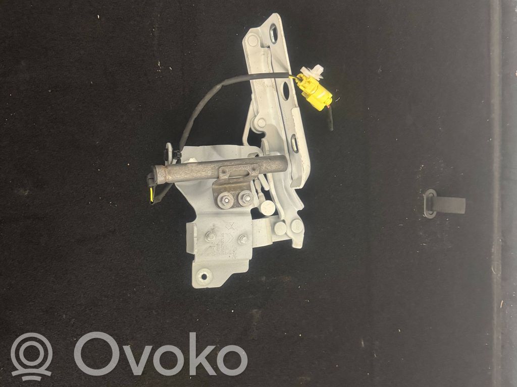 9830840580 Peugeot 408 P54 Cerniere del vano motore/cofano, 200,00 ...