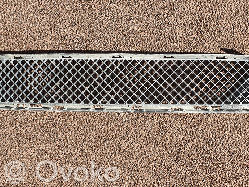 51117303752 BMW X1 E84 Etupuskurin alempi jäähdytinsäleikkö, 17,00 ...
