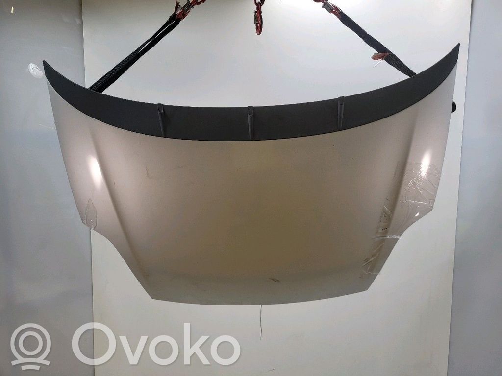 51701140 Fiat Punto (199) Couvercle, capot moteur, 77,78 € | OVOKO