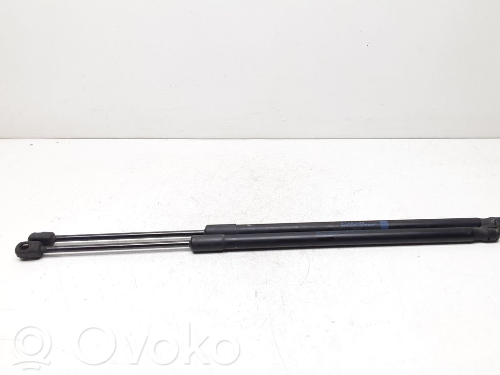 Front bonnet/hood damper/strut A2048800029