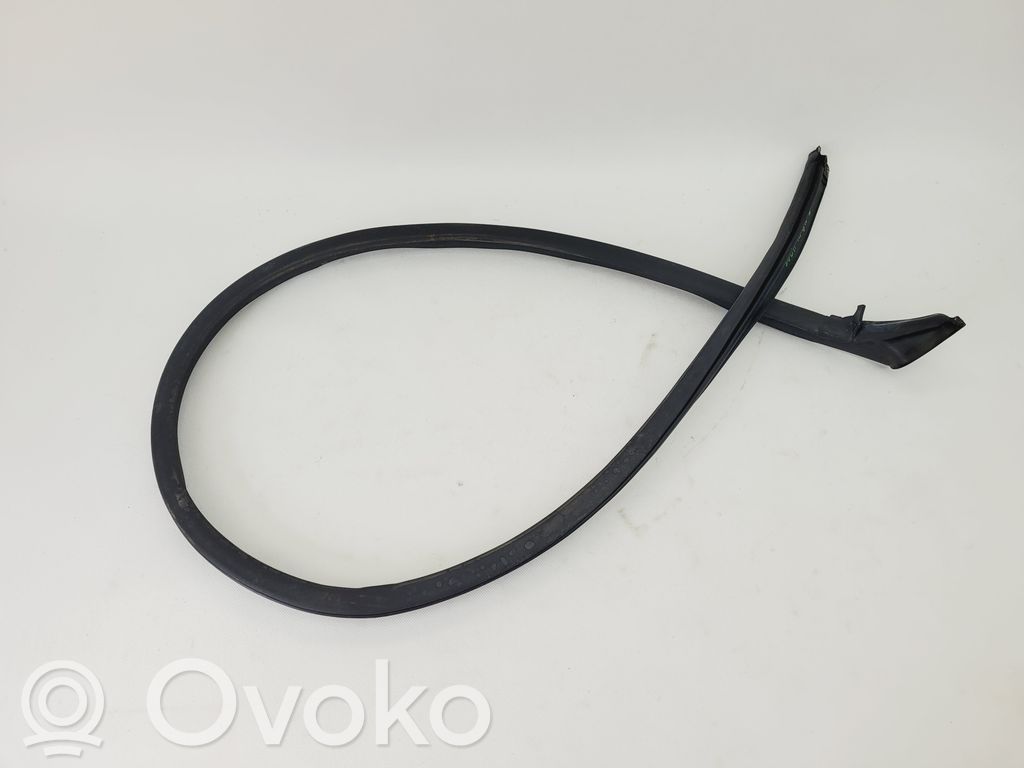 Renault Zoe Front door rubber seal, €13.84 | RRR
