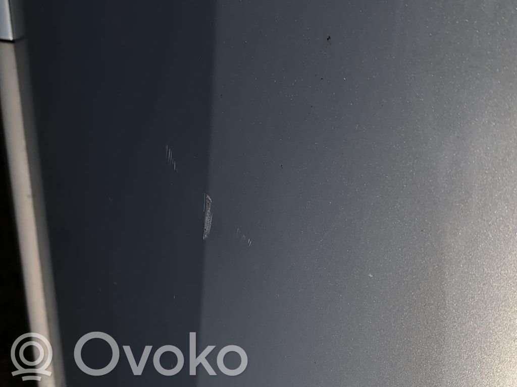 801015506R Renault Megane II Porte avant, 274,00 € | OVOKO