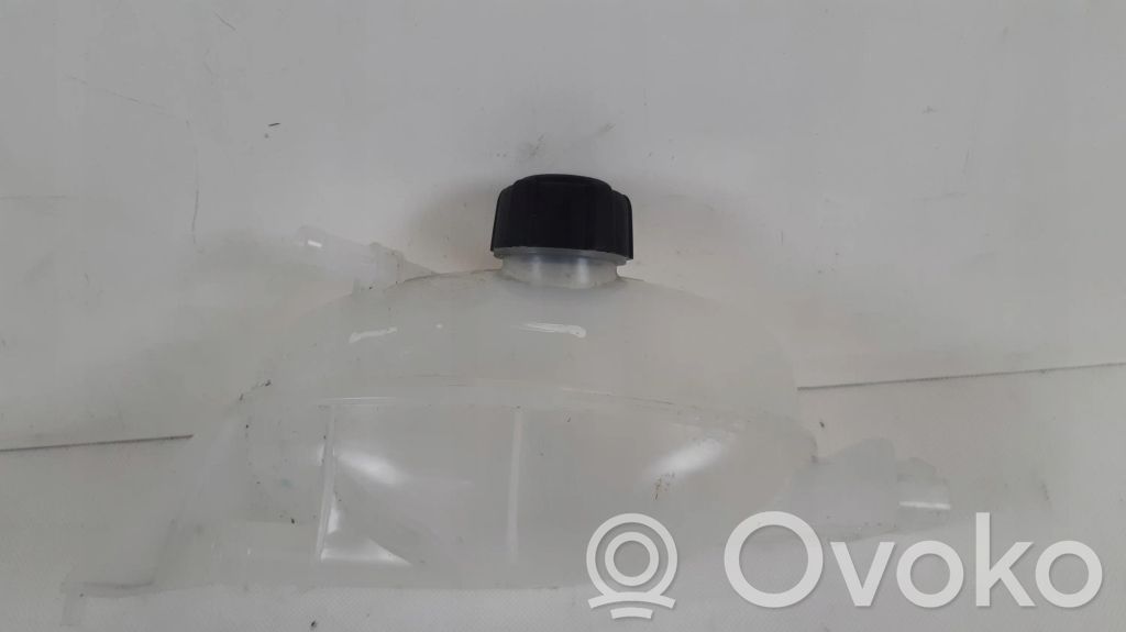 217100015R Renault Master III Coolant expansion tank/reservoir, €17.59 ...