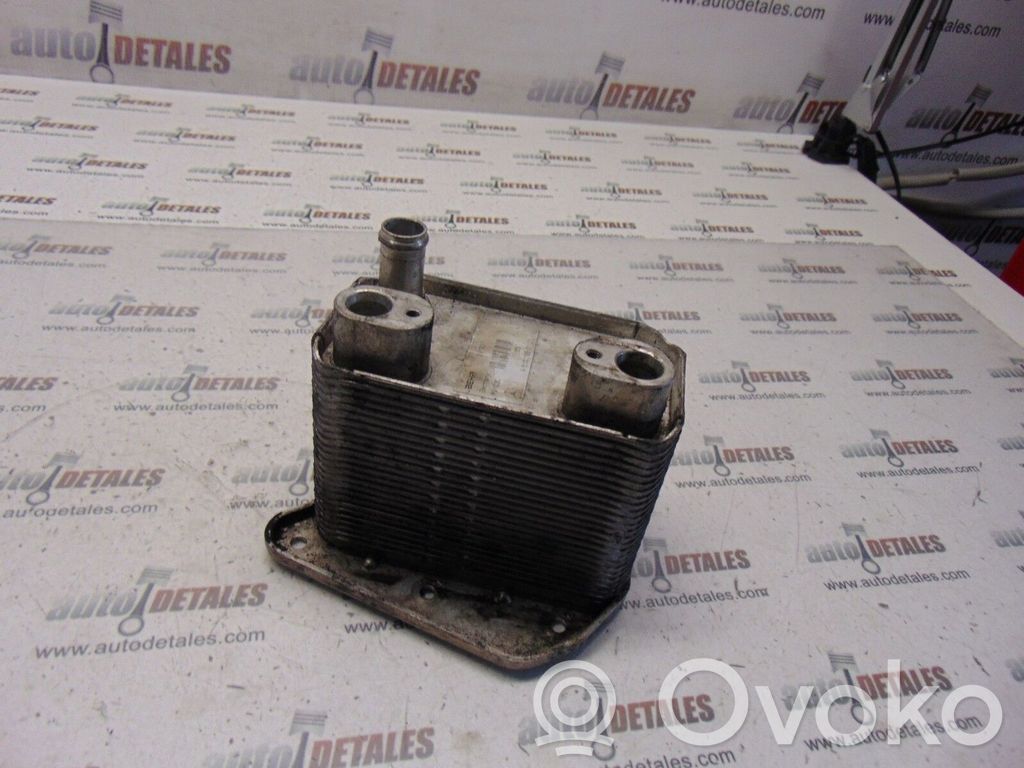 A6131880101 Mercedes-Benz E W210 Radiateur d'huile moteur, 9,00 € | OVOKO