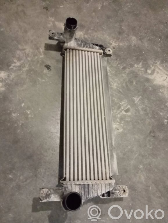 AB399L440AD Ford Ranger Intercooler radiator, €119.00 | RRR