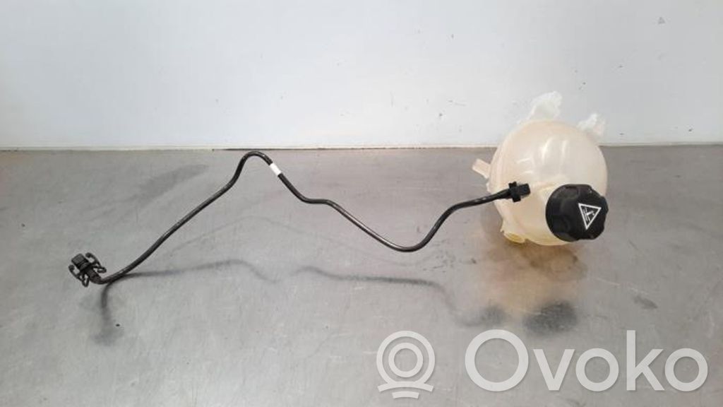 980077280 Citroen C-Elysée Depósito del refrigerante, 20,51 € | OVOKO