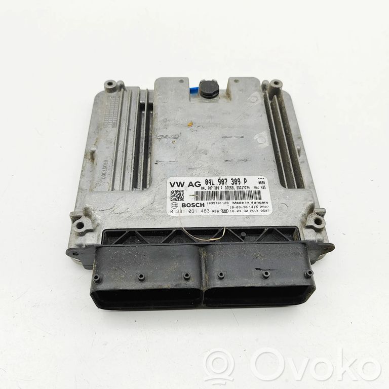 04L907309P Volkswagen PASSAT B8 Calculateur moteur ECU, 74,00 € | OVOKO