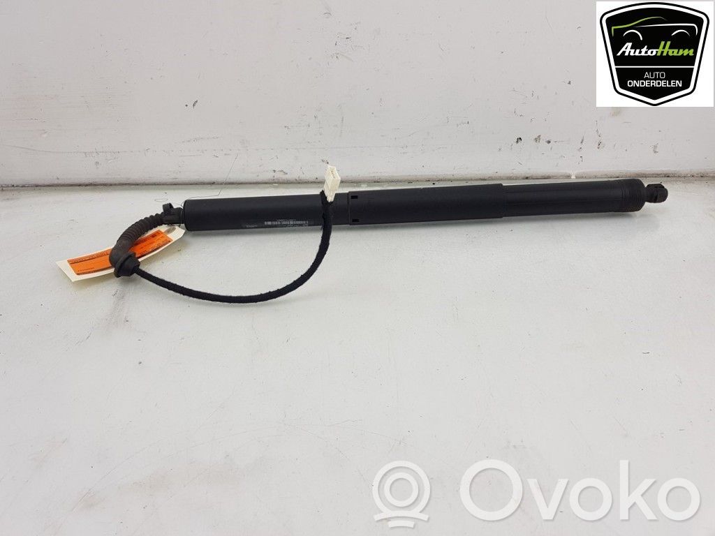 51247294470 BMW X5 F15 Moteur ouverture de coffre, 94,38 € | OVOKO