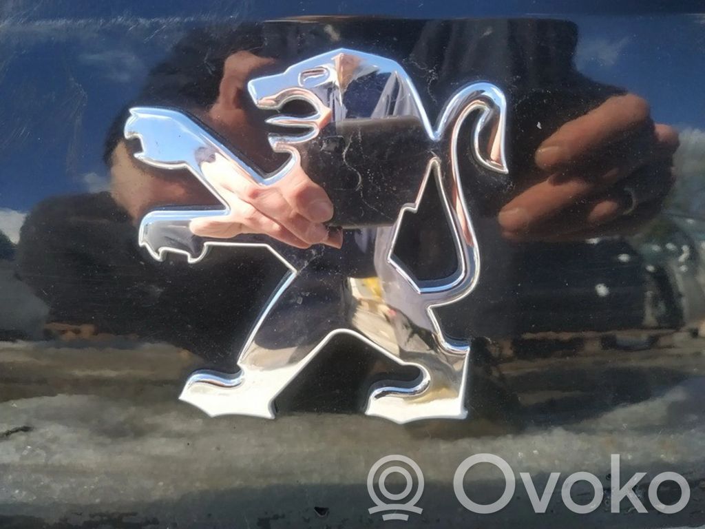 Peugeot 407 Logo, emblème, badge, 11,50 € | OVOKO