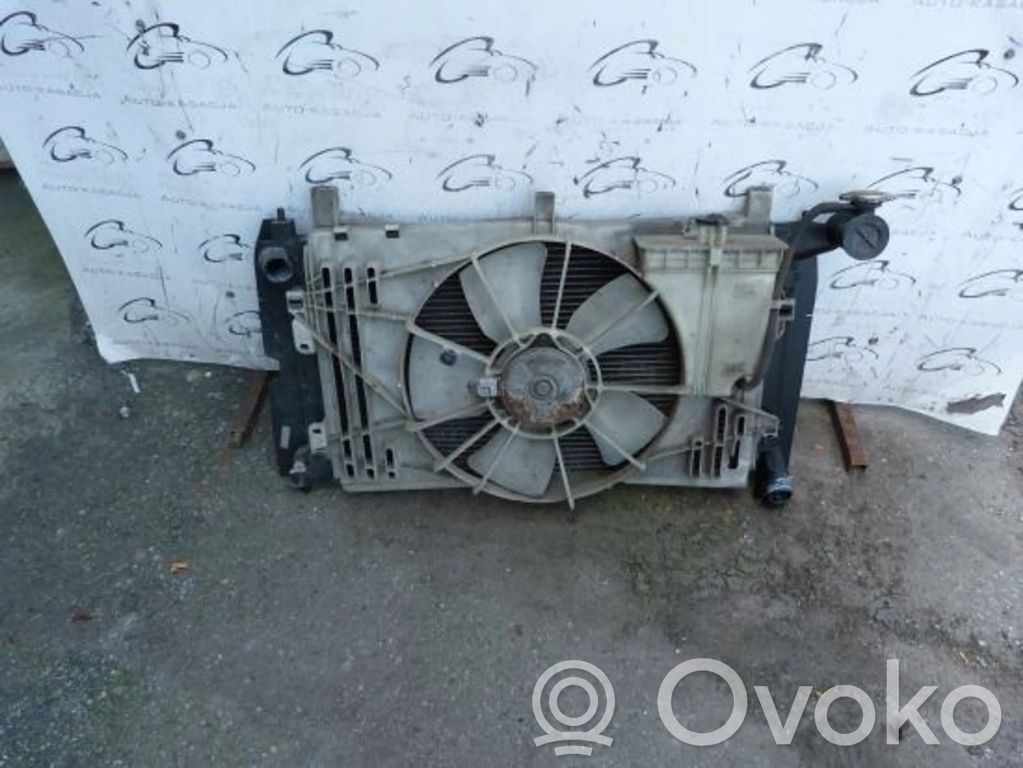 Toyota Corolla E120 E130 Radiator set, €75.76 | RRR