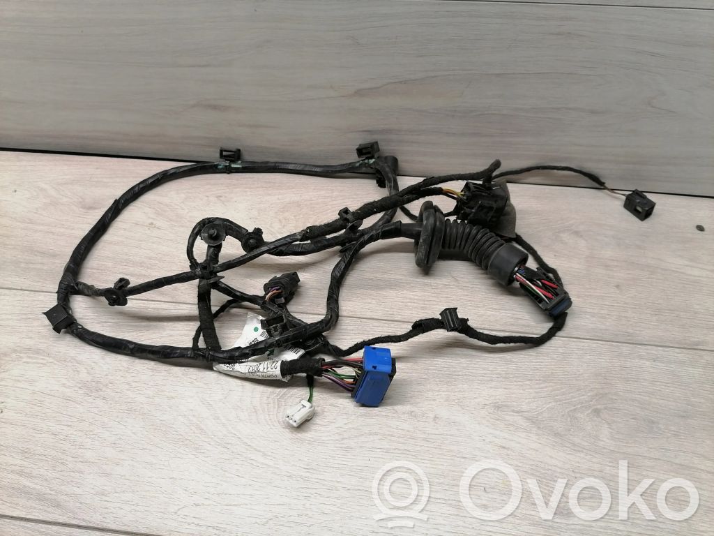 6700075120 Maserati Quattroporte Faisceau de câblage de porte arrière ...