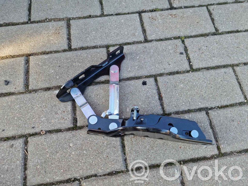 600673700E Tesla Model S Vyris (-iai) variklio dangčio, 40,00 € | RRR