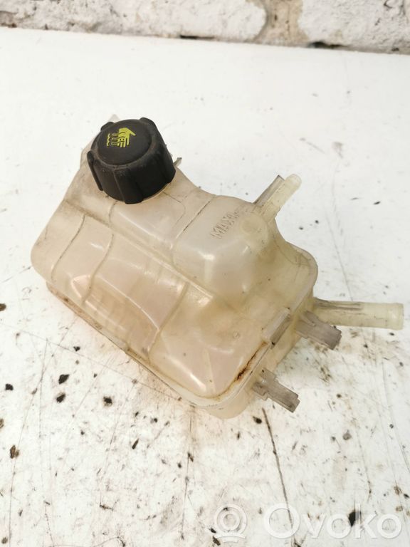 217100005R Renault Megane III Depósito del refrigerante, 19,65 € | OVOKO