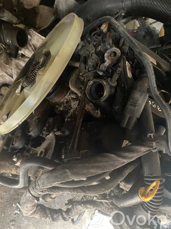 651956 Mercedes-Benz Sprinter W906 Engine, €3,650.00 | RRR