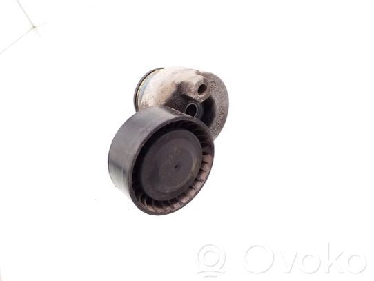 8200048486 Renault Megane II Galet tendeur de la courroie, 13,00 € | OVOKO