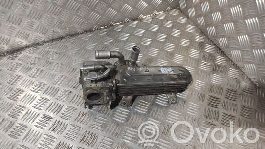 038131513AD Volkswagen PASSAT B6 Refroidisseur de vanne EGR, 12,00 ...