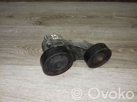 31251252 Volvo V70 Galet tendeur de la courroie d'alternateur, 12,00 ...