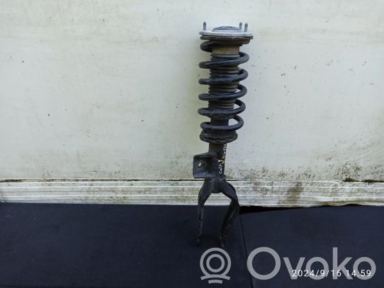 118837600E Tesla Model Y Amortisseur avant avec ressort, 190,00 € | OVOKO