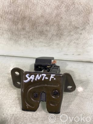 812302B000 Hyundai Santa Fe Serrure de loquet coffre, 30,00 € | OVOKO