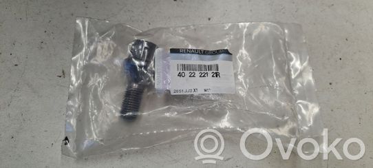 402222121R Renault Megane III Écrous et boulons, 10,00 € | OVOKO