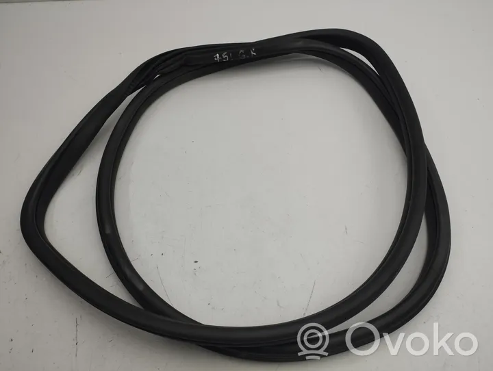 Mini Cooper Countryman R60 Rear door rubber seal (on body), 30.00 € | RRR