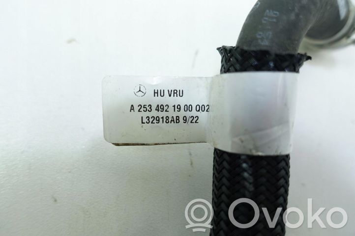 CPP17203 Mercedes-Benz GLC X253 C253 Catalyst/FAP/DPF particulate ...