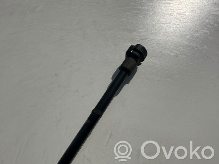 51248402405 BMW X5 E53 Tailgate/trunk strut/damper, 10.00 € | RRR