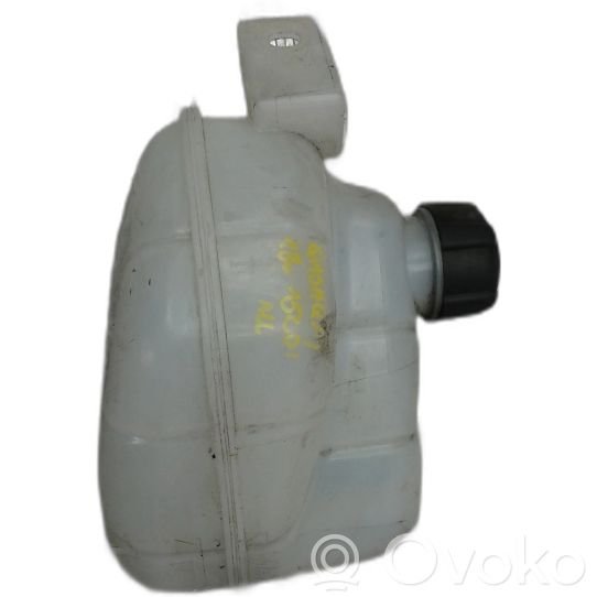 Nissan Qashqai Coolant expansion tank/reservoir, 15.28 € | RRR