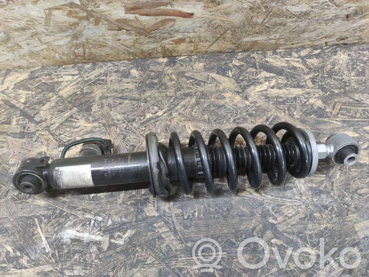 9827152080 Citroen DS7 Crossback Amortisseur arrière avec ressort, 135.00 € | OVOKO