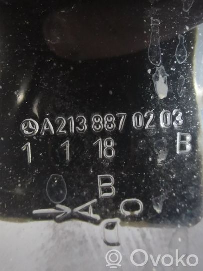 A2138870203 Mercedes-Benz E W213 Dangtis variklio (kapotas), 196.51 € | RRR