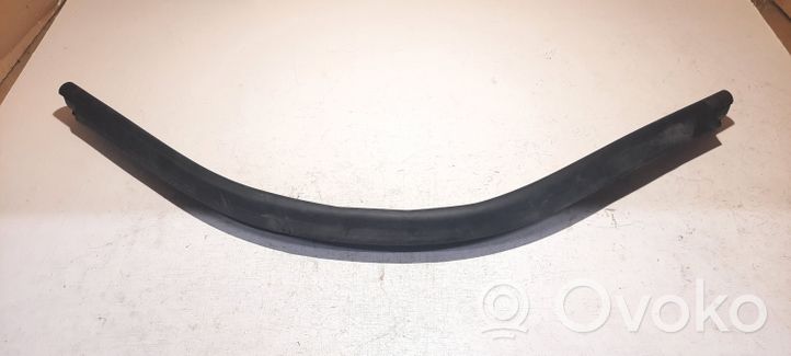 VAP7361 BMW 4 F32 F33 Joint de compartiment moteur 51767239146 - Pièce ...