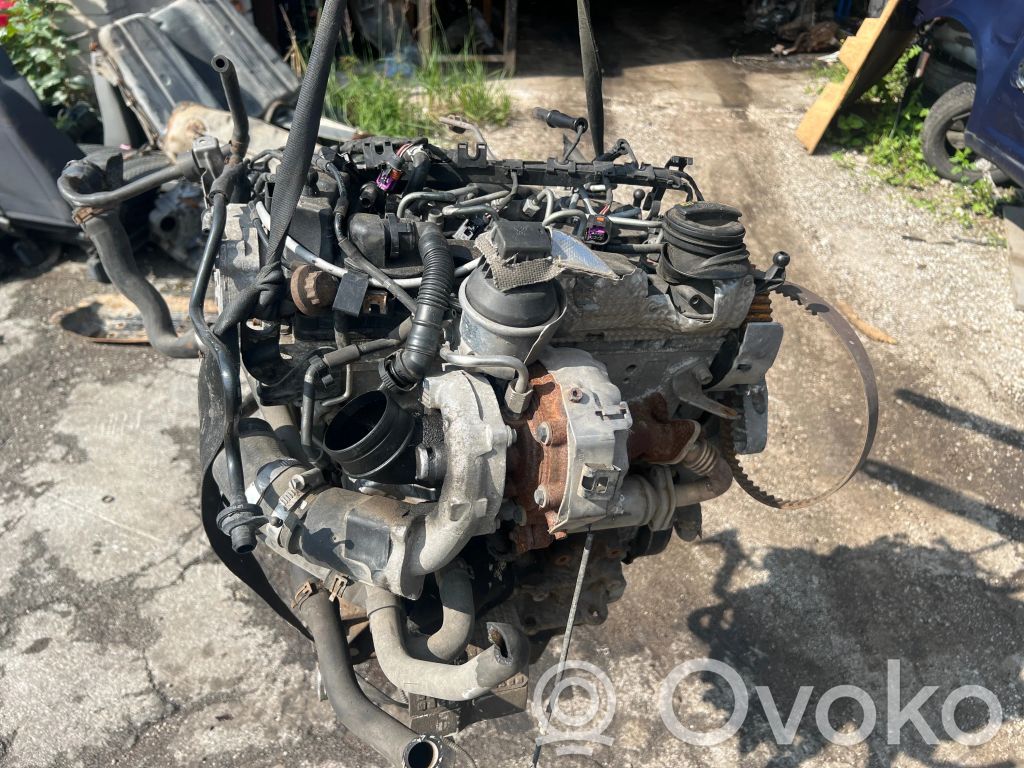 CBAB Volkswagen PASSAT B6 Moteur, 1 000,00 € | OVOKO