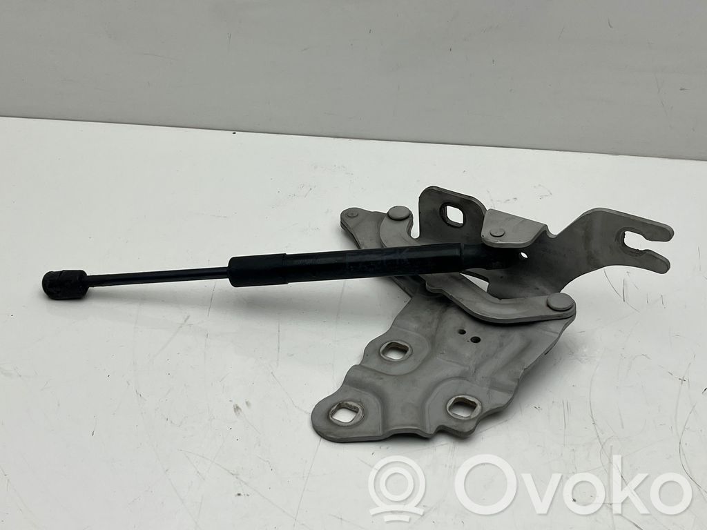 7210729 BMW X3 F25 Engine bonnet/hood hinges, €59.27 | RRR