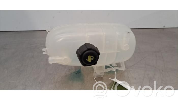 217105057R Renault Trafic III (X82) Coolant expansion tank/reservoir, € ...