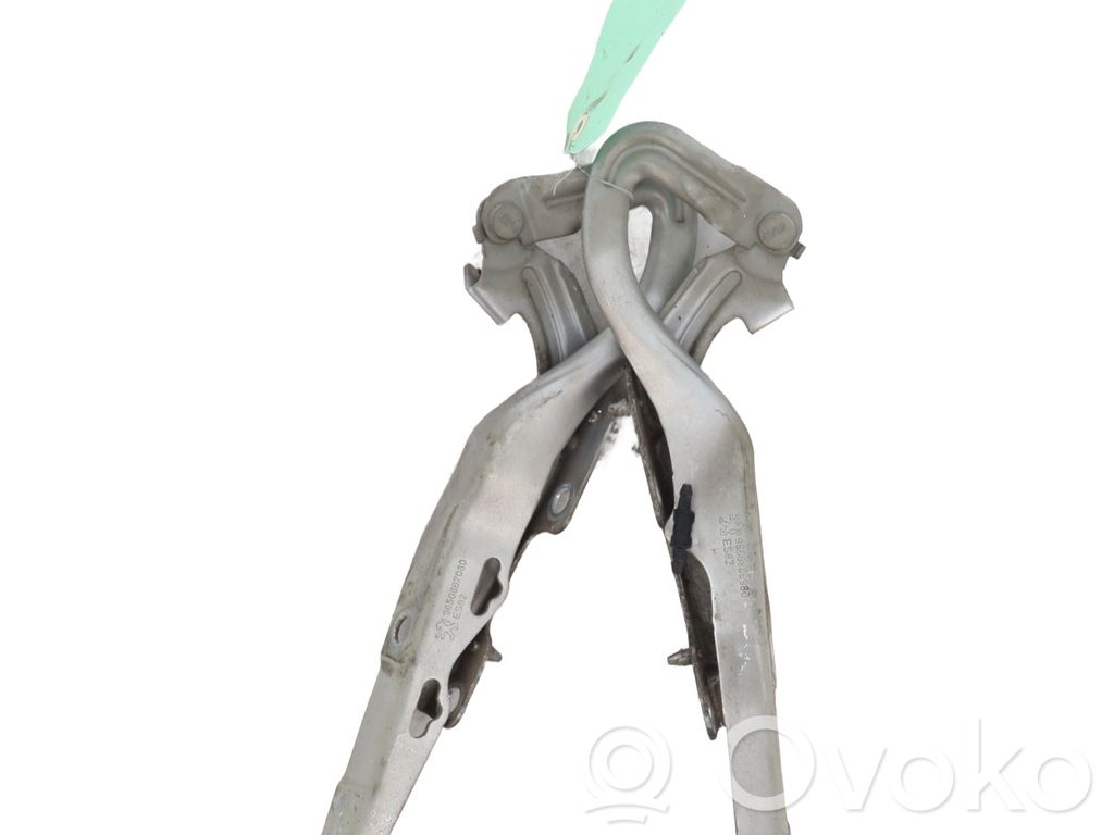 791297 Peugeot 207 Engine bonnet/hood hinges, €23.00 | RRR